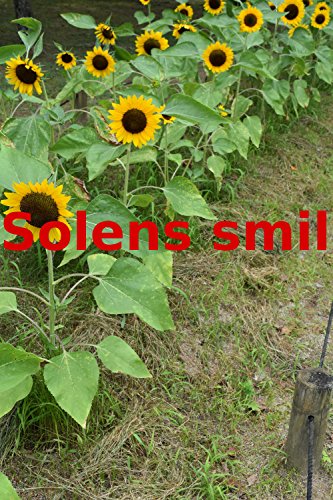 Solens smil (Norwegian Edition) eBook : M, HARADA: Amazon.in: Kindle Store