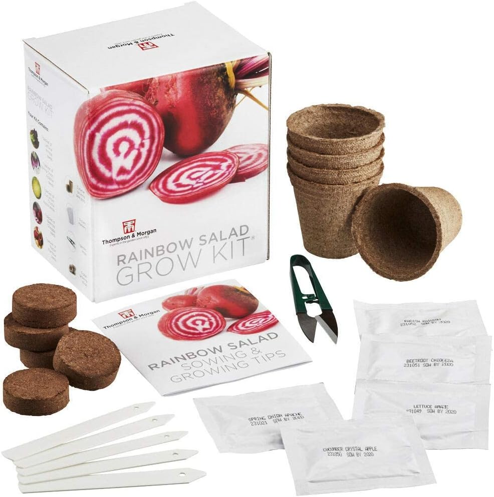 Scented Sweet Pea Seeds Growing Kit - Perfect Gardening Gift Grow Your ...