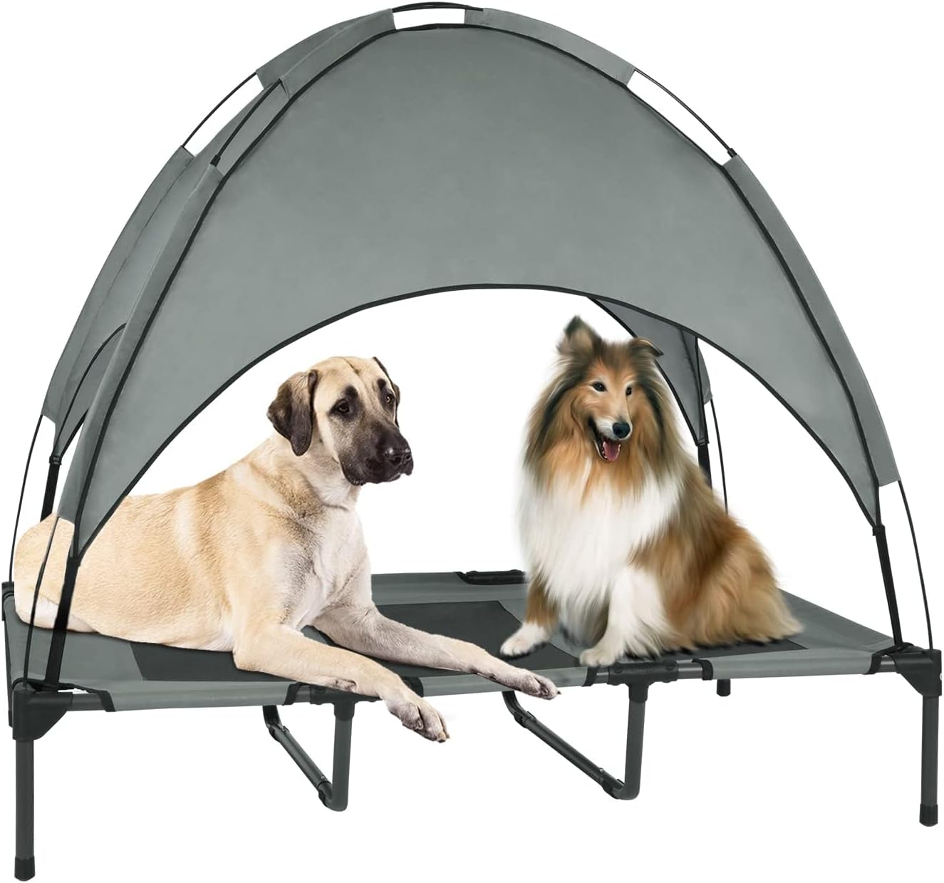 Amazon.com: OIPUNSHLE Elevated Outdoor Dog Bed with Removable Canopy ...