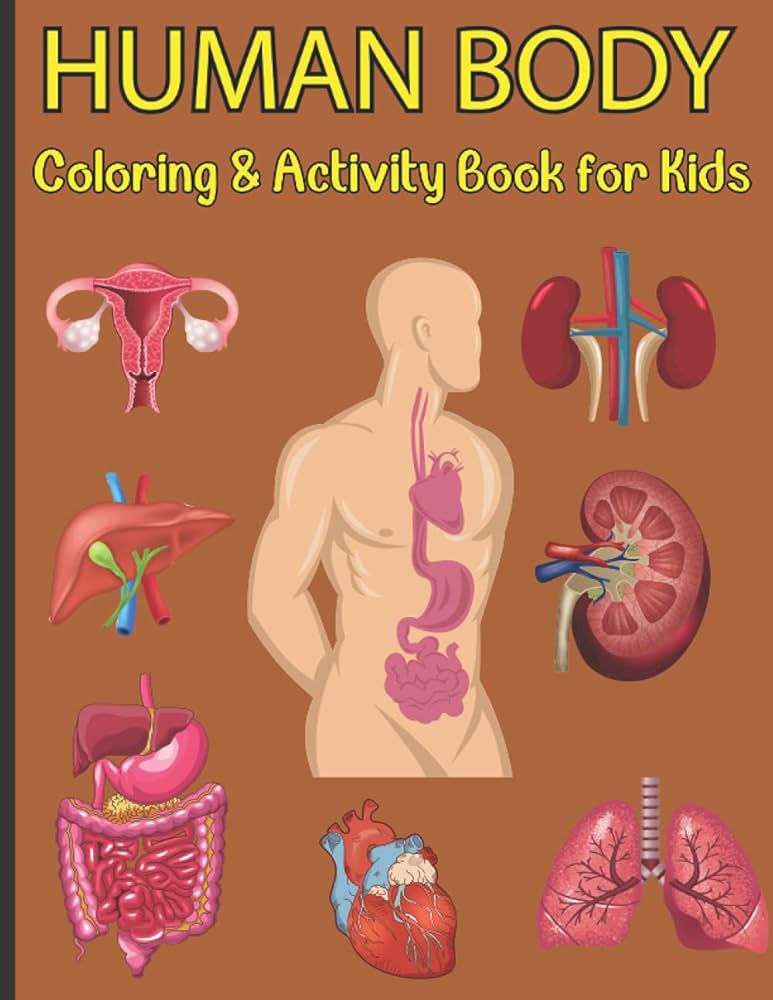 human body coloring pages free