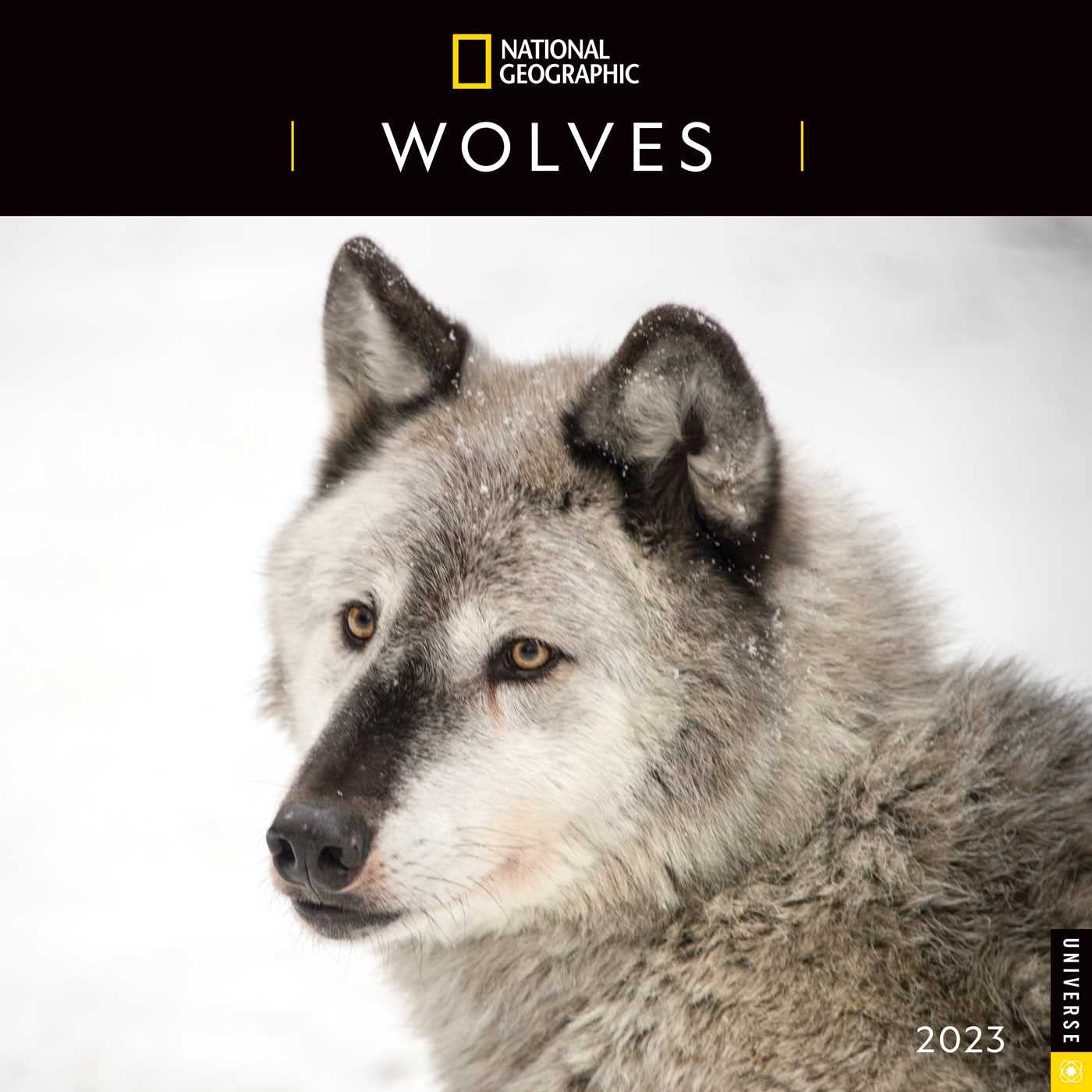National Geographic: Wolves 2023 Wall Calendar: National Geographic ...