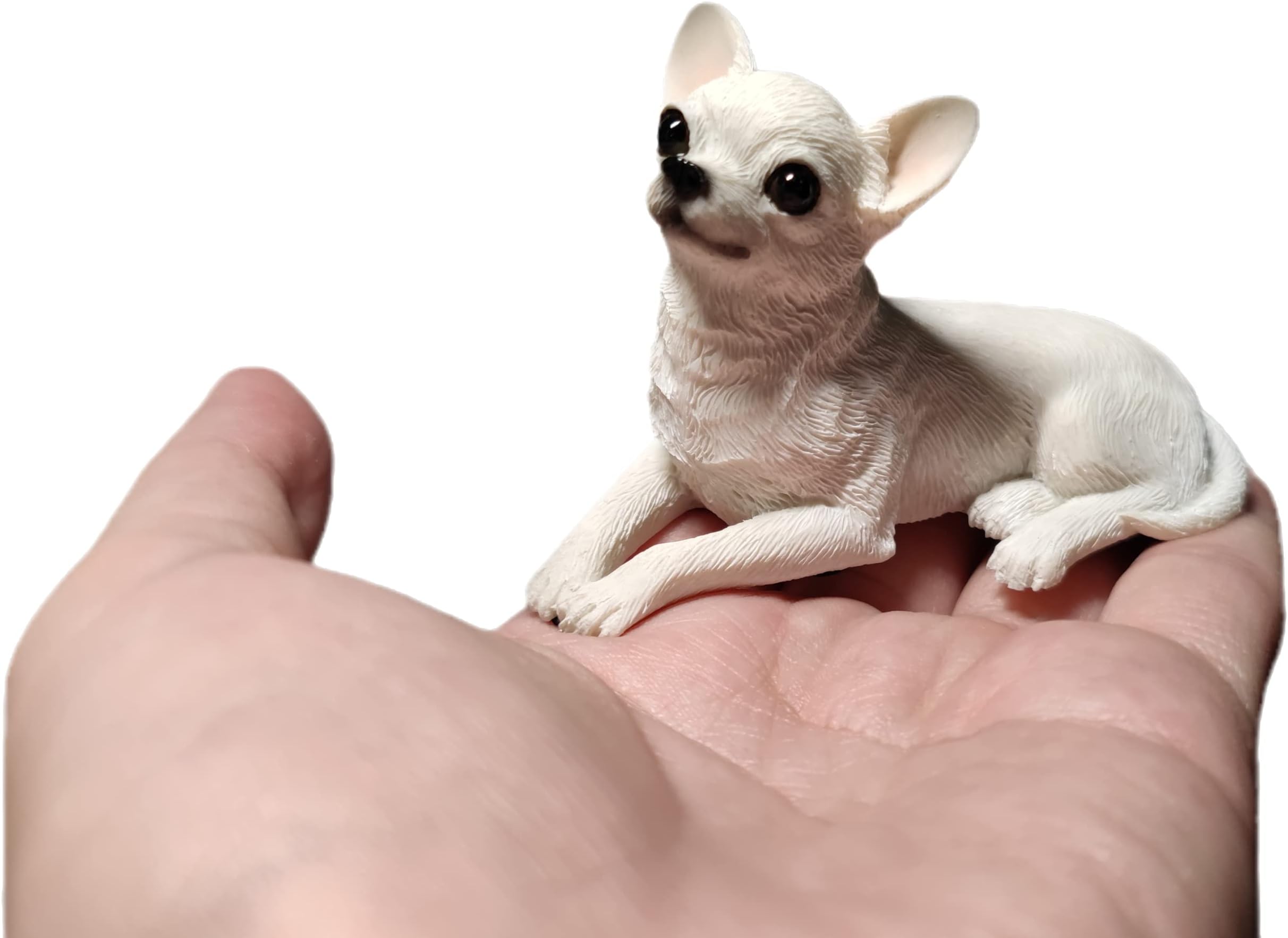 Amazon.com: Cute Chihuahua Statue Concrete Dog Figurine Pet Memorial ...