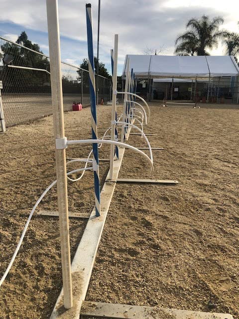 Amazon.com: Dog Agility Equipment | Weave Pole Guide Wires for use with ...