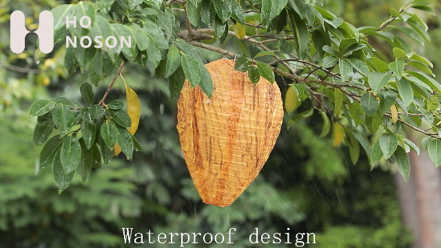 Watch Waterproof Fake Wasp Hornet Nest Decoys Hanging Bee on Amazon Live