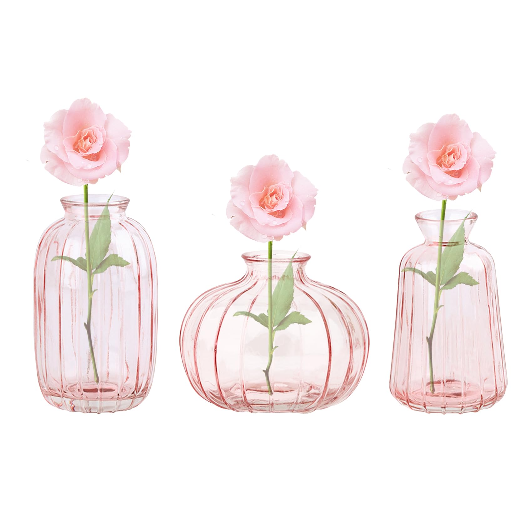 Set of 3 Glass Vases Small Vases for Flowers, Decorative Bud Vases for ...