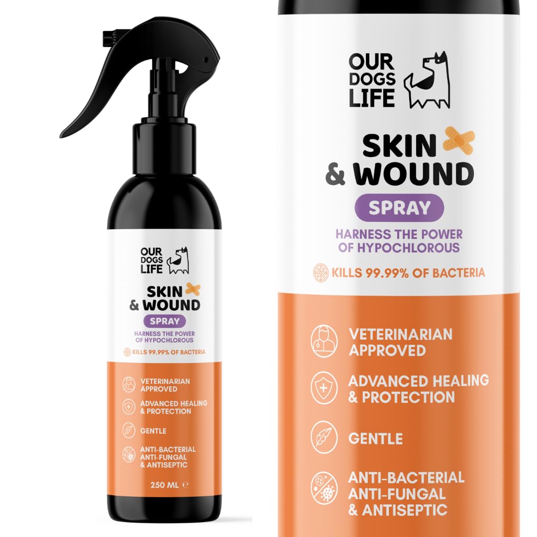 Buy DogsLifeWound & Skin Dog Antiseptic spray - Antibacterial ...