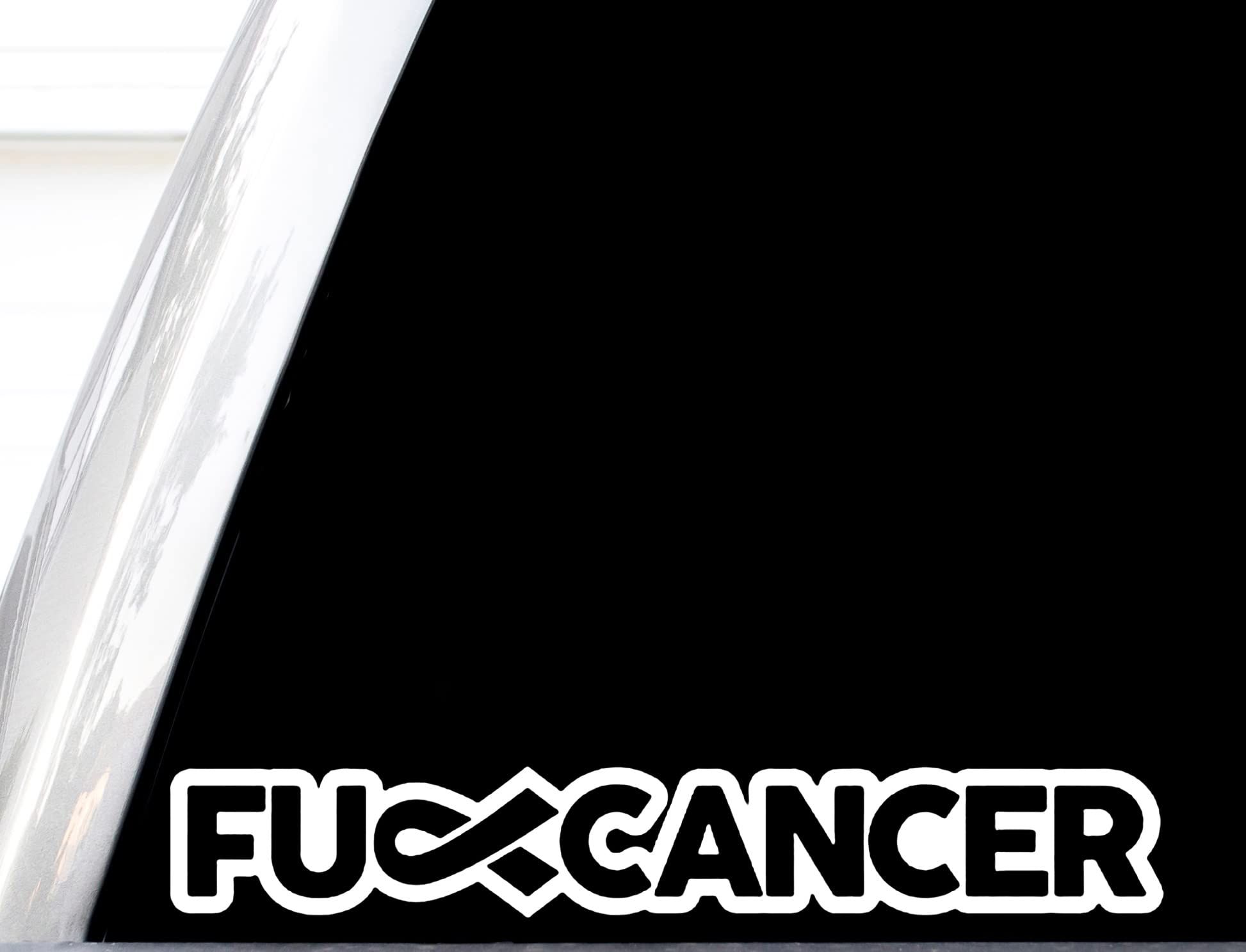F K Cancer Decal H 1 By L 8 Inches | Desertcart INDIA