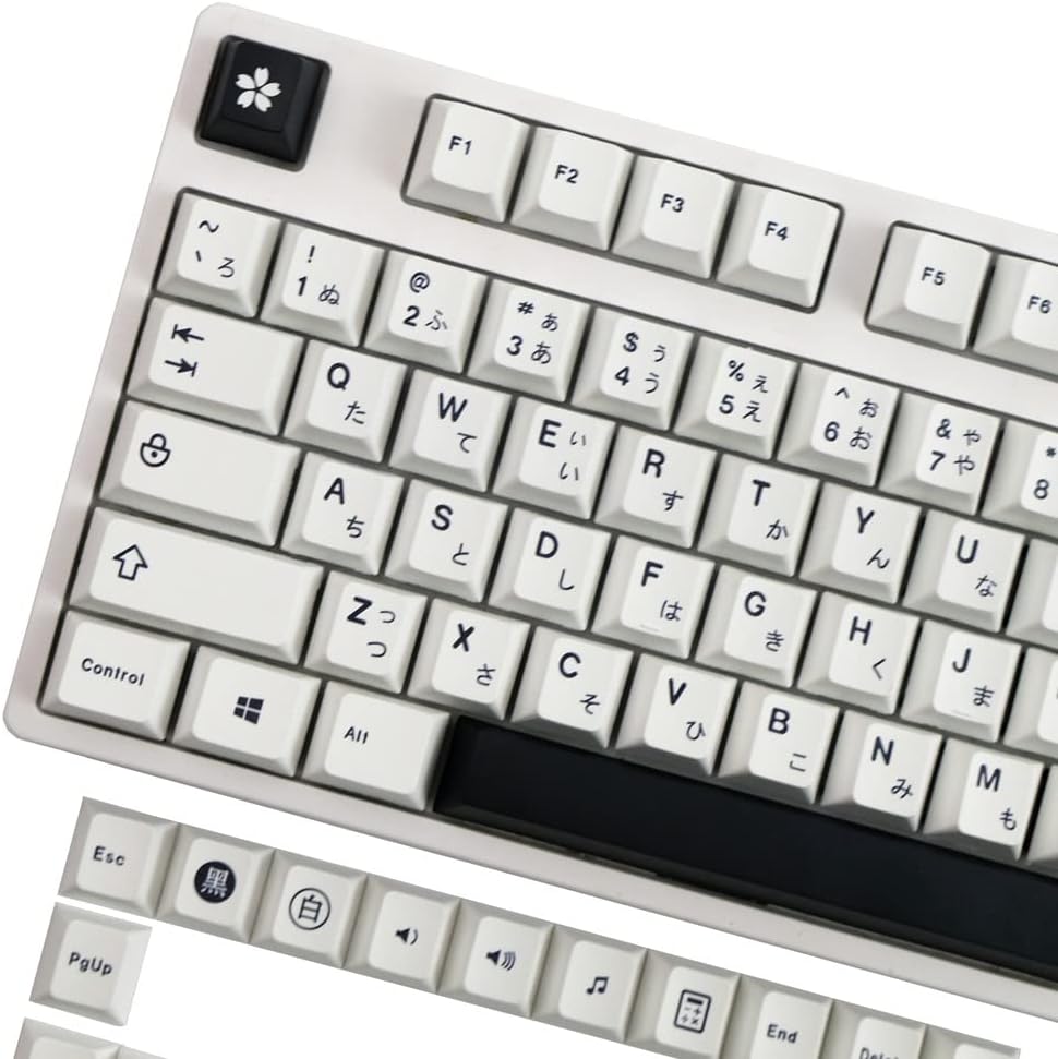 Premium PBT Minimalist Black and White Keycaps - Cherry Profile, DYE ...