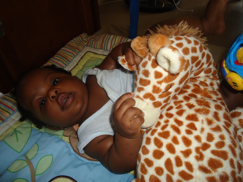 Amazon.com: Cloud b Sound Machine Soother, Gentle Giraffe : Baby