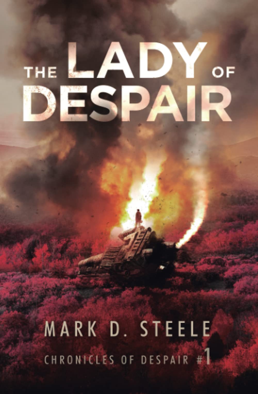 The Lady of Despair (Chronicles of Despair): Steele, Mark D ...