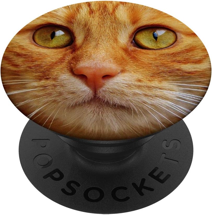 Popsocket Katze Katzen Spruch, Katzen Liebhaber PopSockets Mit ...