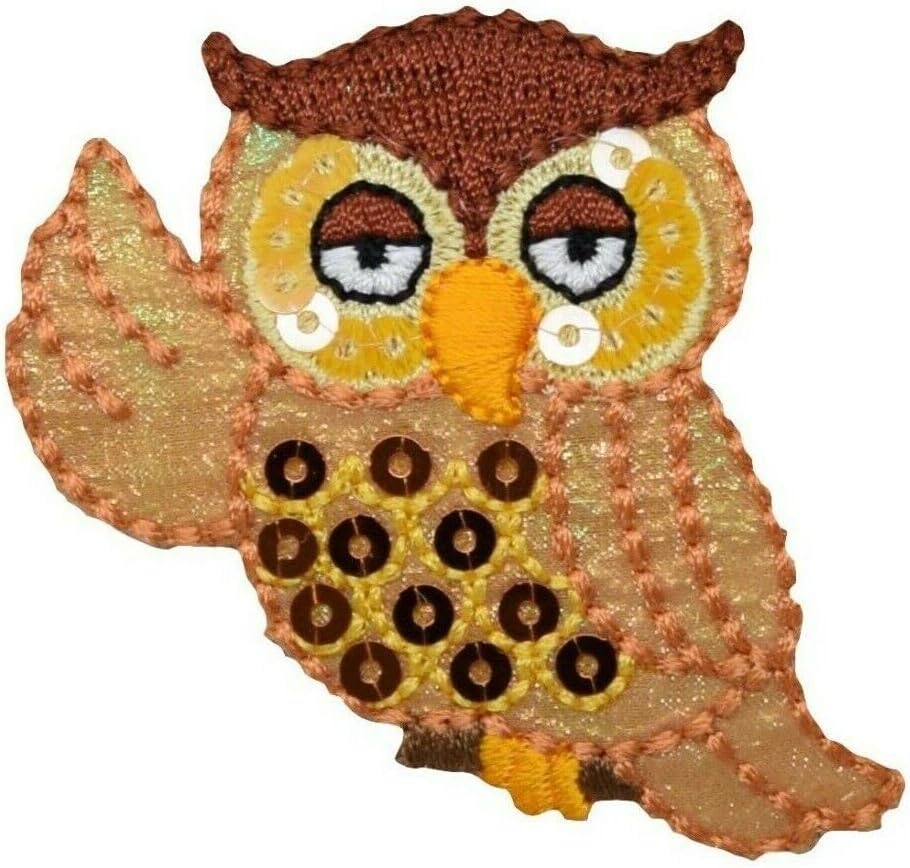 Amazon.com: Decorative Patches - Sequin Barn Owl Waving - Iron on ...