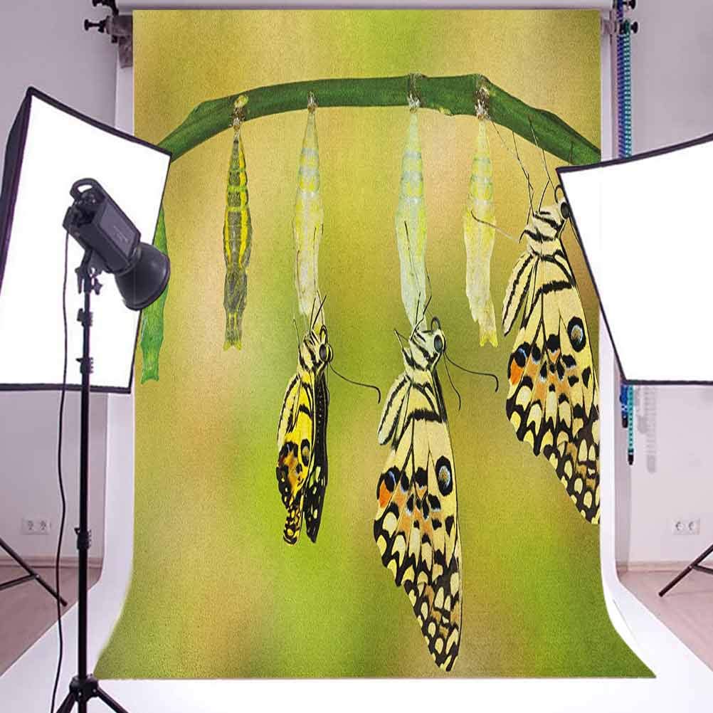 Buy 7x10 FT Swallowtail Butterfly Vinyl Photography Background ...