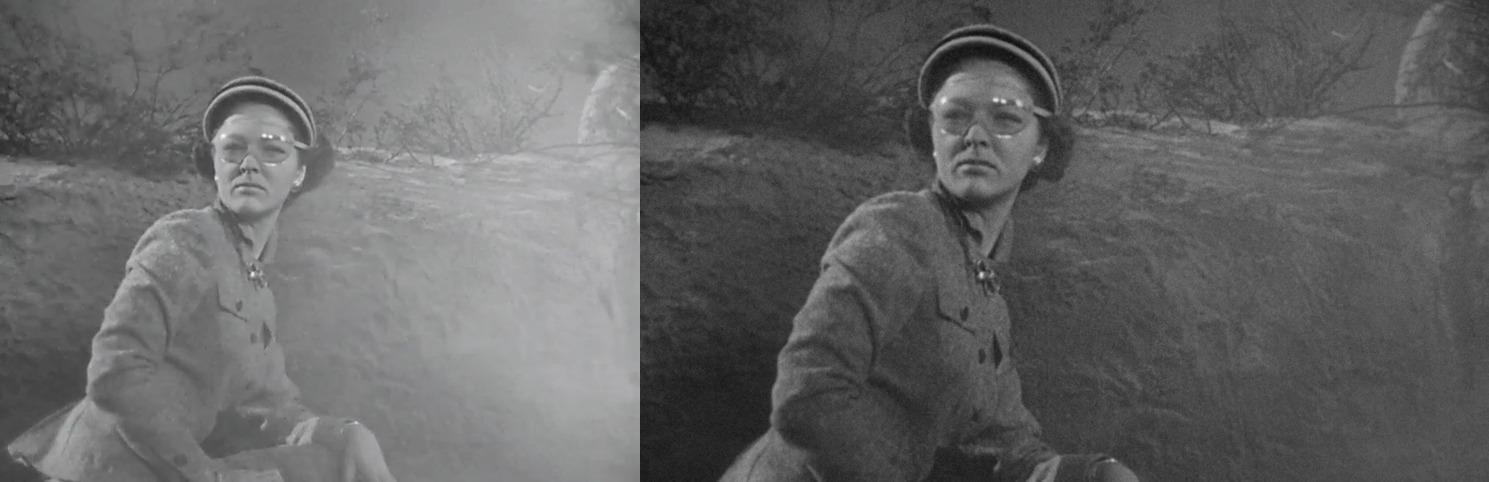 Amazon.com: Them! : James Whitmore, Edmund Gwenn, Joan Weldon, Gordon ...