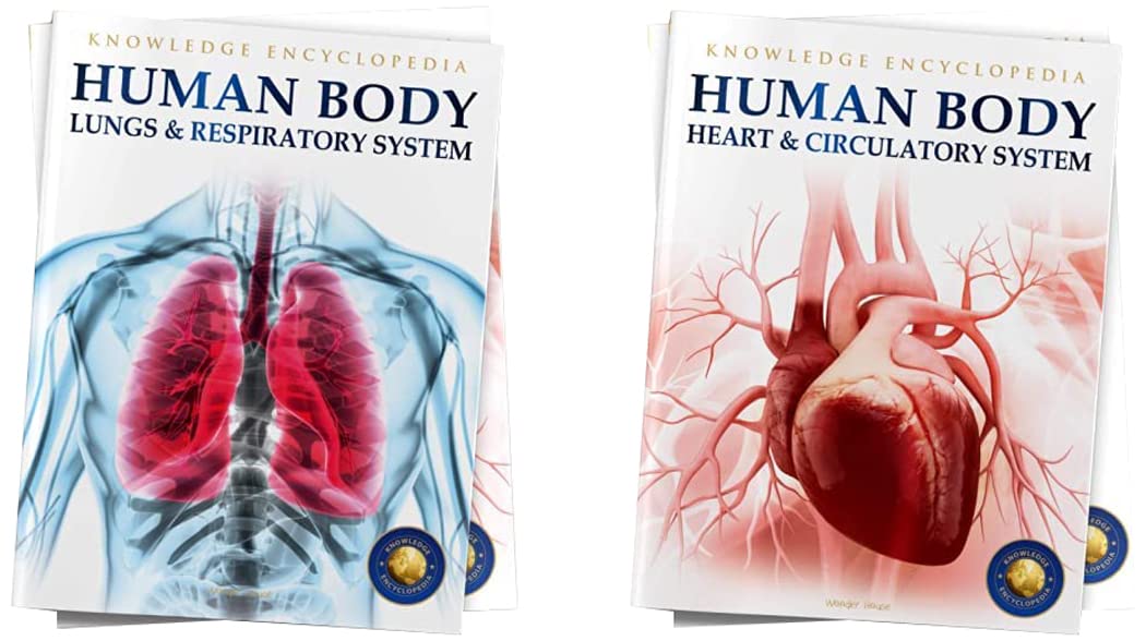Buy Human Body - Lungs And Respiratory System & Human Body - Heart And ...