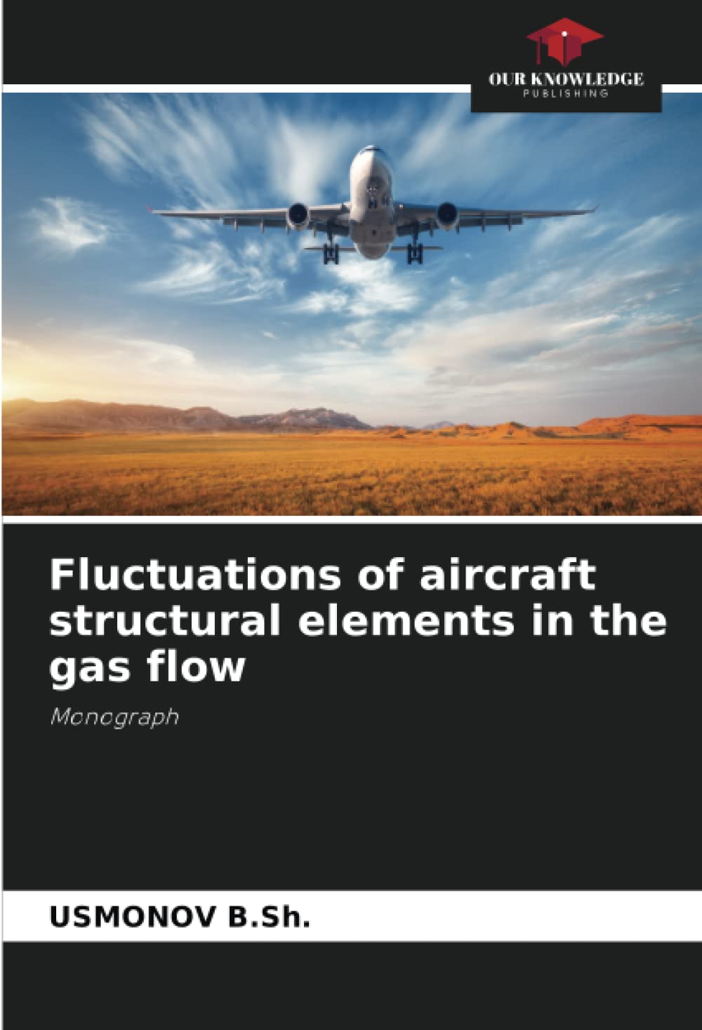 Fluctuations of aircraft structural elements in the gas flow: Monograph ...