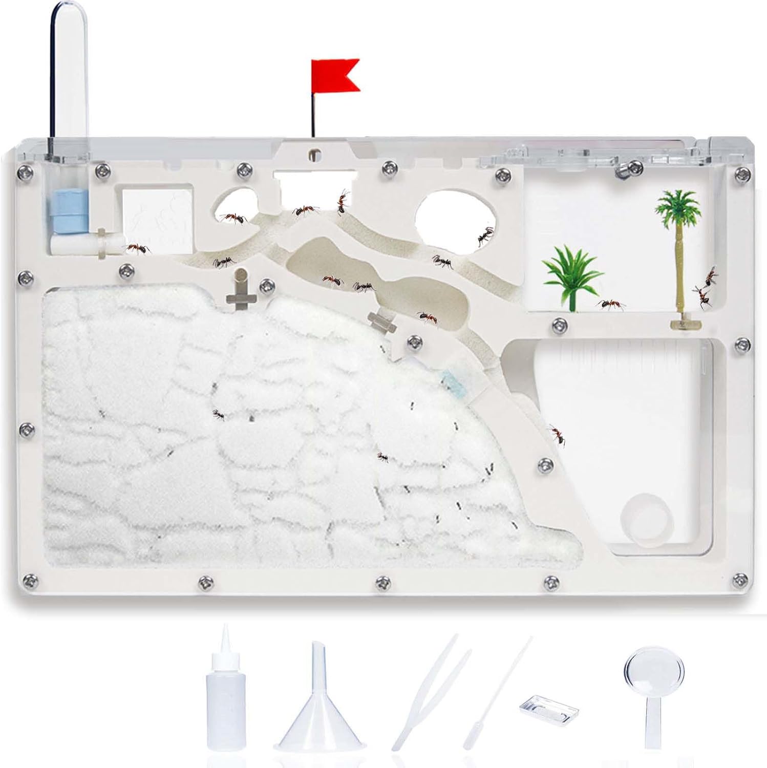 Amazon.com: Ant Farm Castle - Large Viewing Area - Care for Live Ants ...