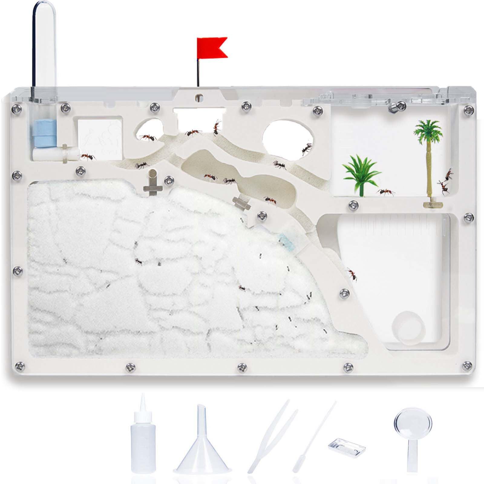 Amazon.com: Ant Farm Castle - Large Viewing Area - Care for Live Ants ...
