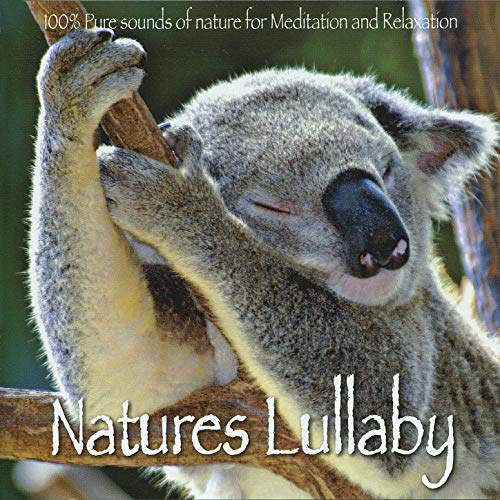 Amazon.com: Nature's Lullaby : Gene Pierson: Digital Music