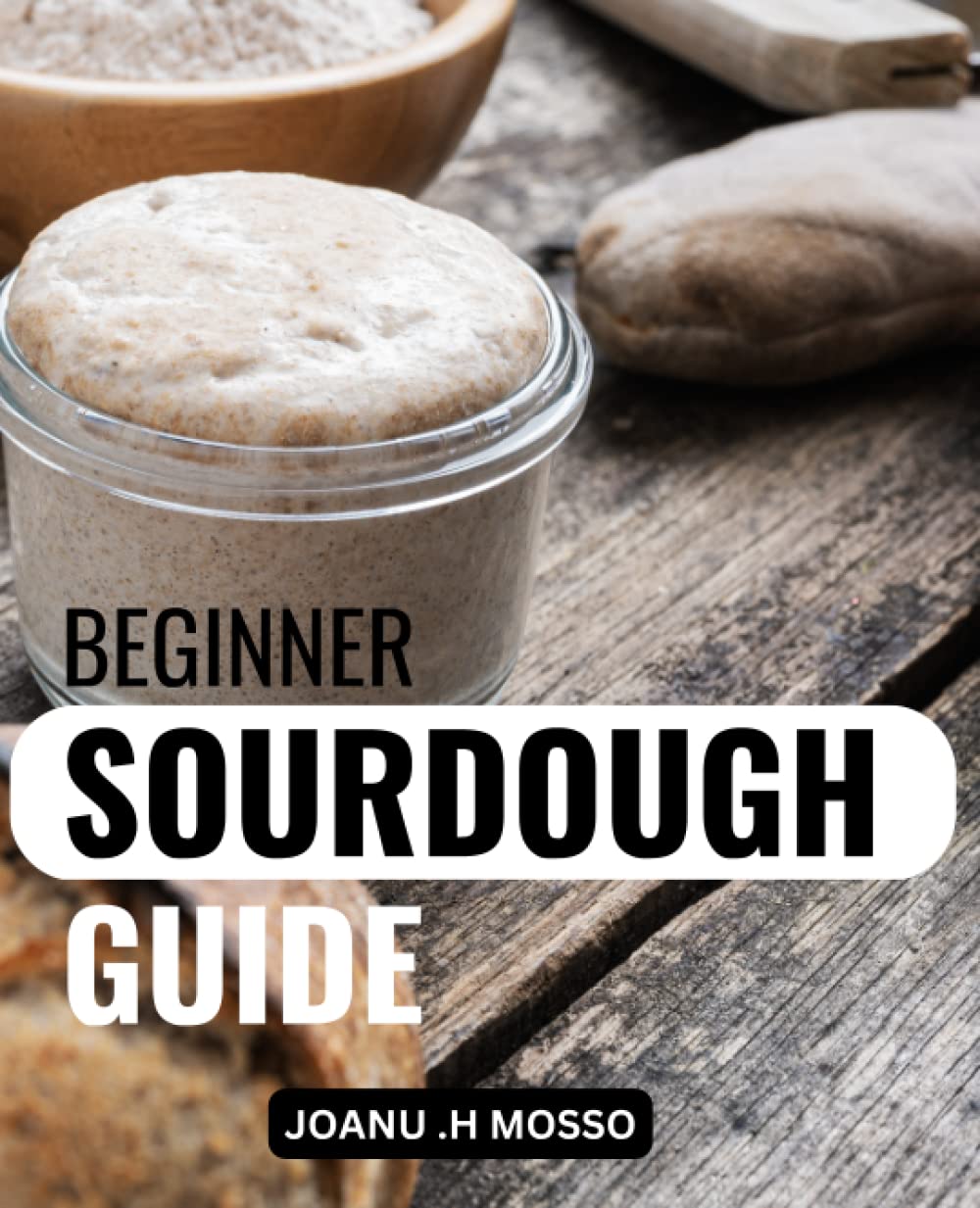 Beginner Sourdough Guide: A Complete Introduction to the Art of Baking ...