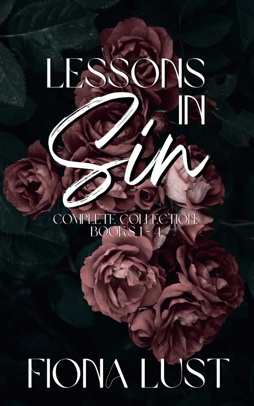 Lessons In Sin: The Complete Collection: Books 1 to 4: Lust, Fiona ...