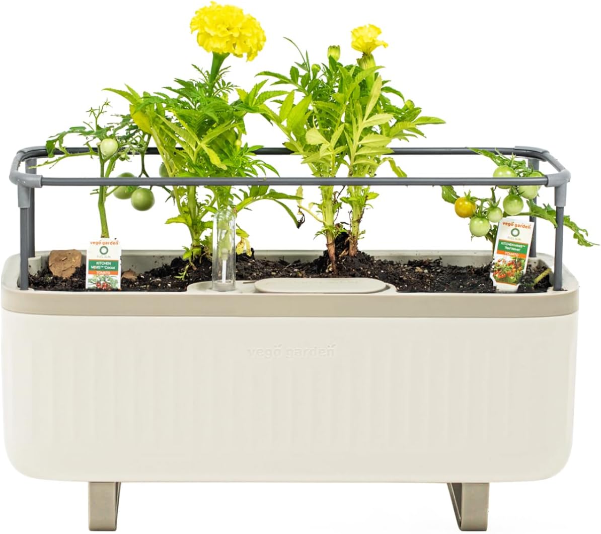 Amazon.com : Vego garden Herb Planter Box with Trellis & Mini Planter ...