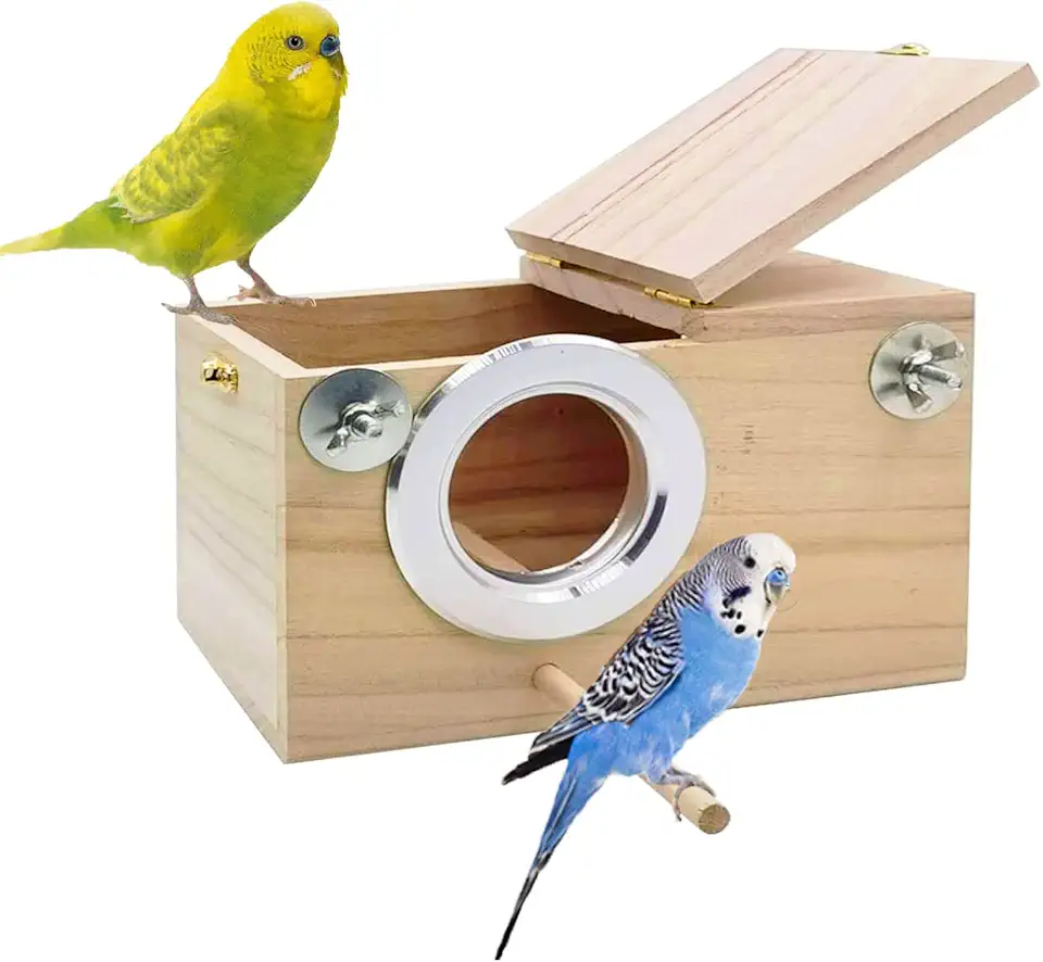 The Ultimate Guide To Breeding Budgies For Beginners | PetShun
