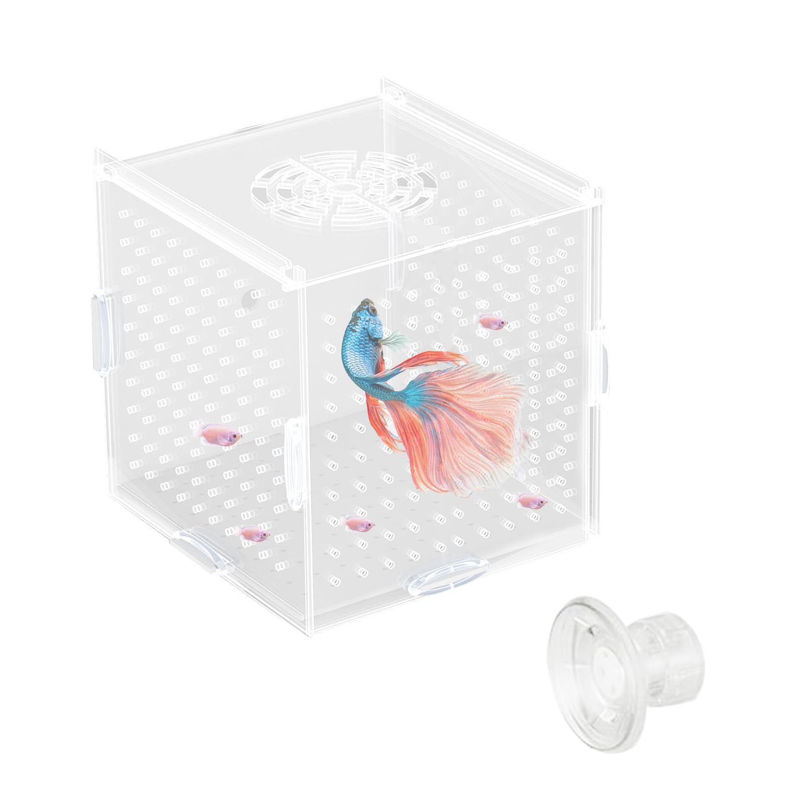 Snapklik.com : QoTang Acrylic Fish Breeding Box, Transparent Fish ...