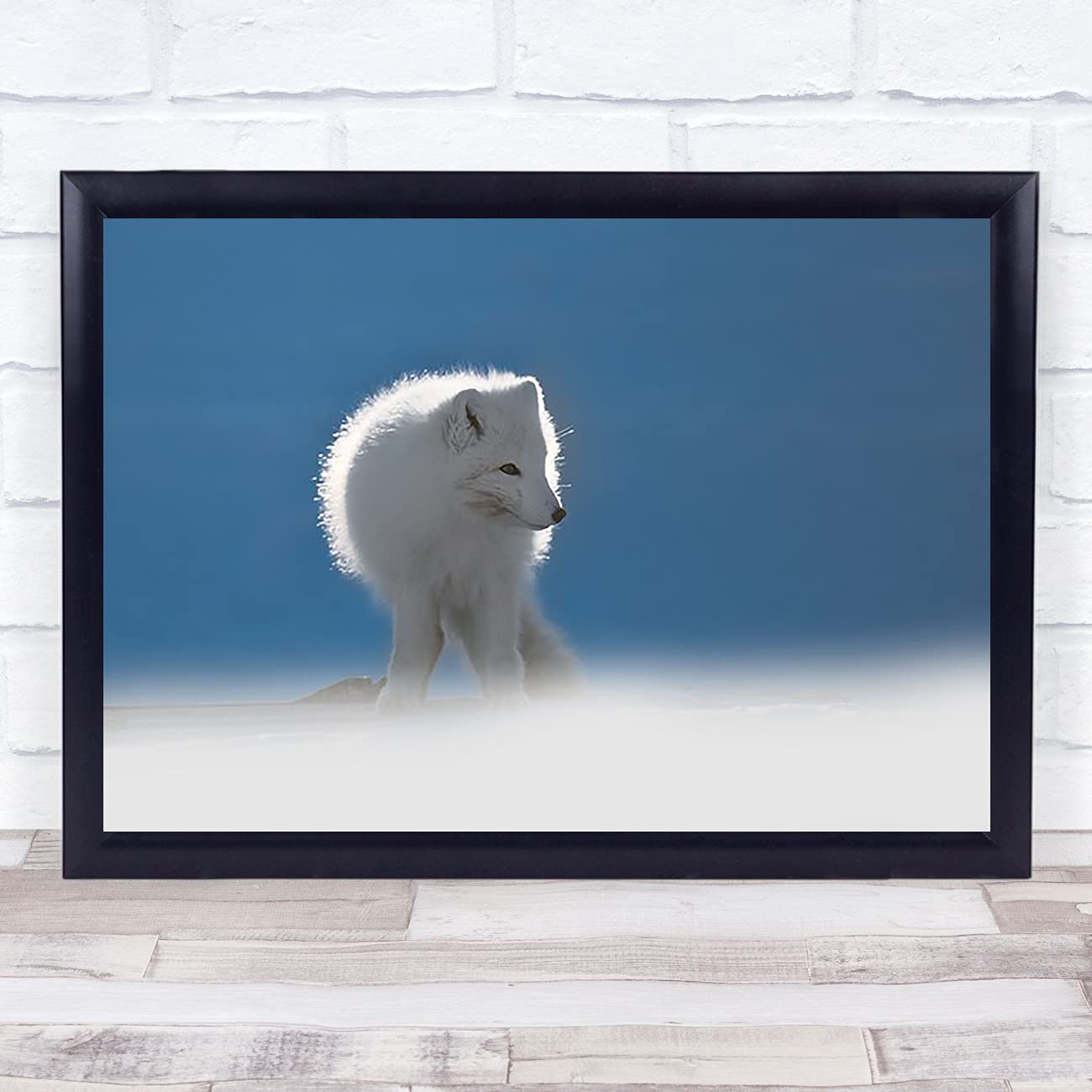 Furry Fox Wolf Snow