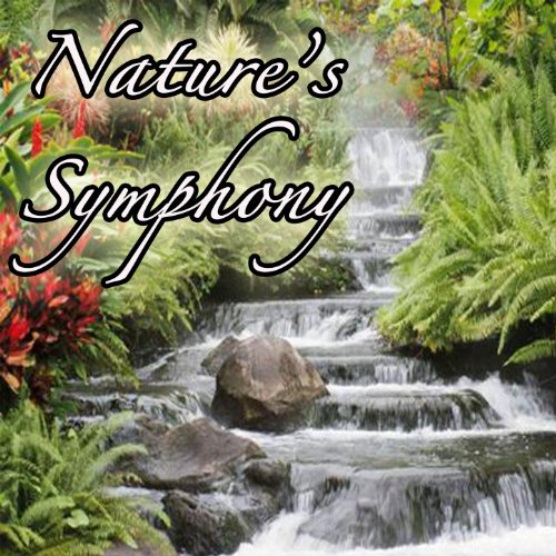Amazon.com: Nature's Symphony: Music from Outdoors, Nature, Environment ...