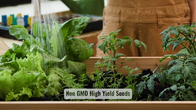Watch Open Seed Vault - Herb Seeds on Amazon Live