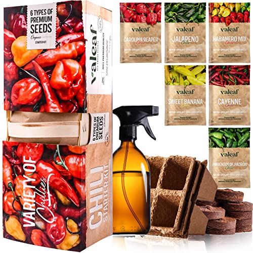 Chilli Set – Die 15 besten Produkte im Vergleich - Brosef