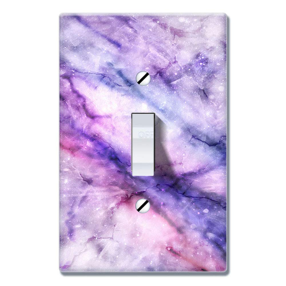 WIRESTER Single Gang Toggle Light Switch Plate/Wall Plate Cover ...
