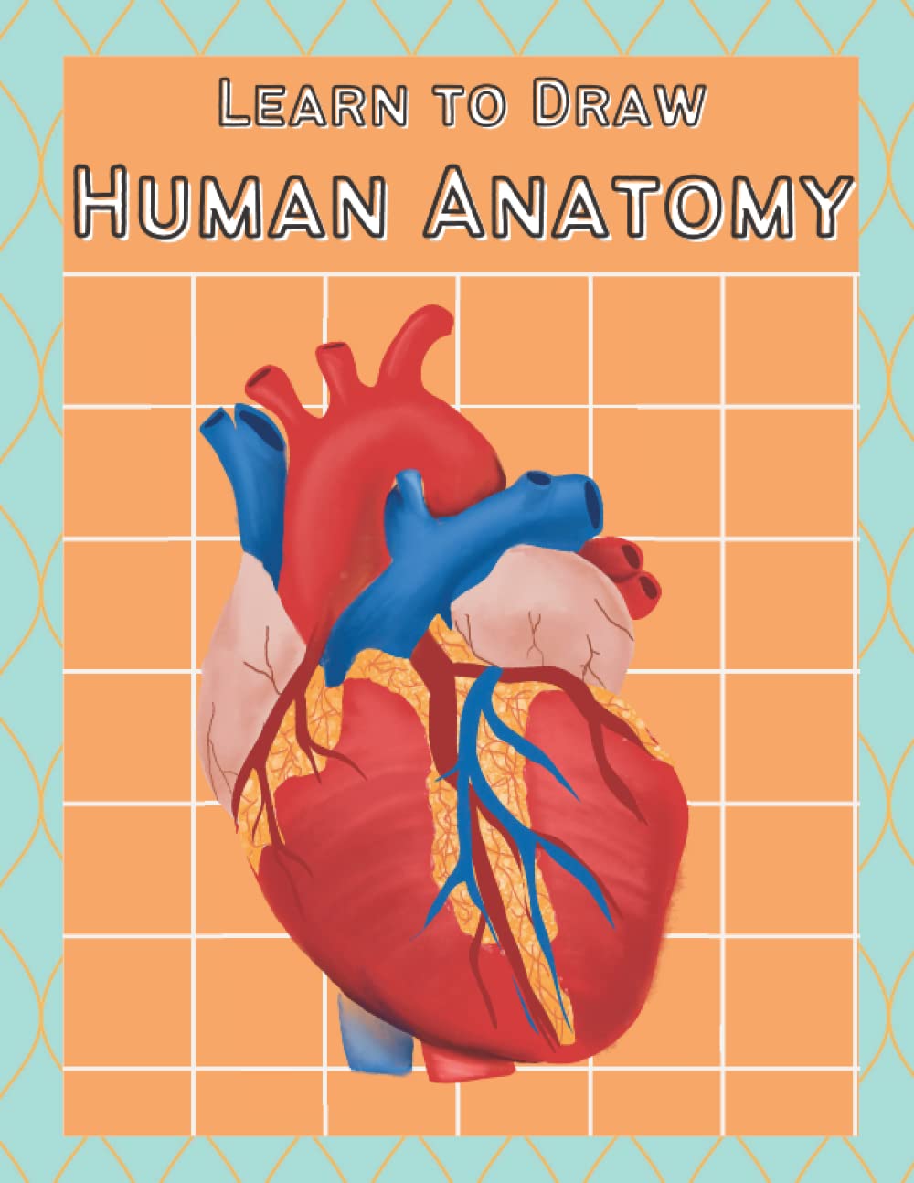 Amazon.com: Learn To Draw Human Anatomy: Anatomy & Physiology drawing ...