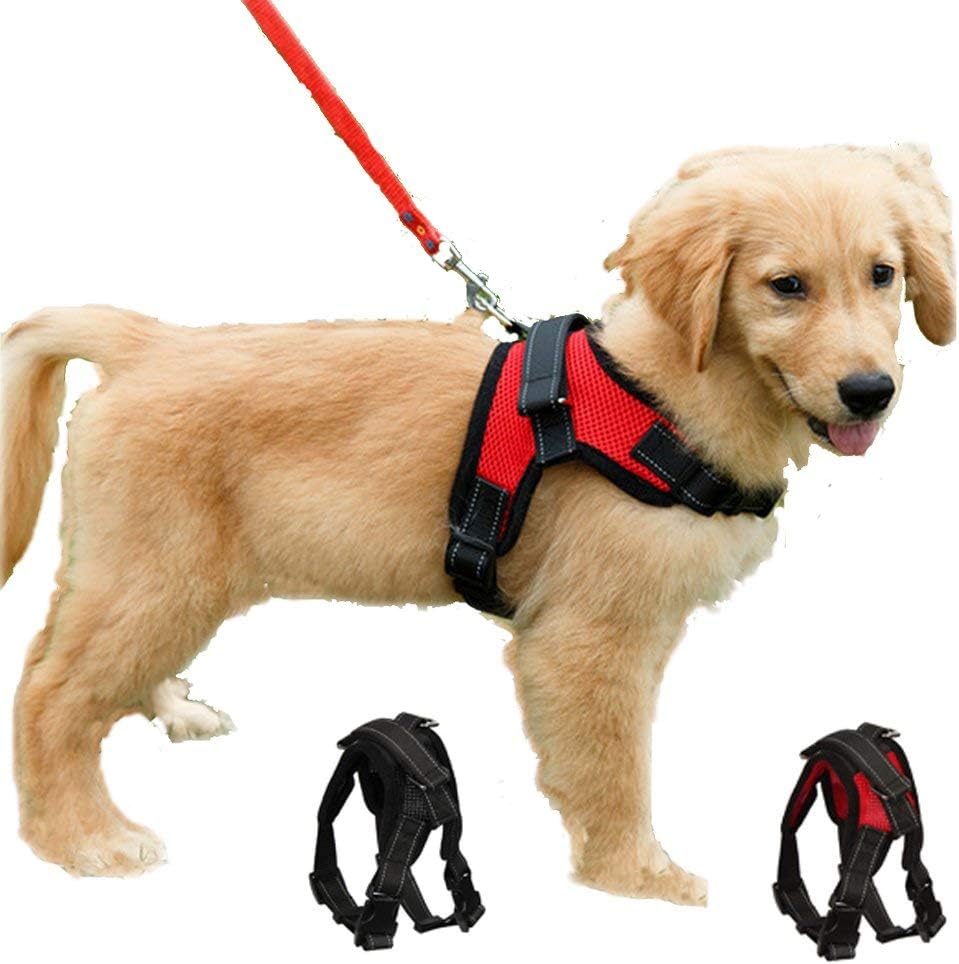 Dog Harness No Pull Adjustable Puppy Vest Harness Small Dog Mesh ...
