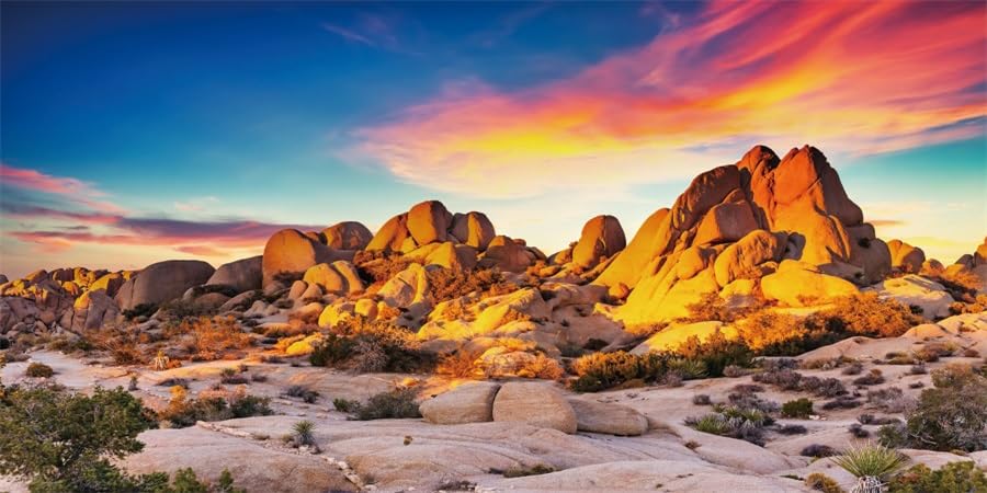 Amazon.com : YongFoto Reptile Terrarium Background 48x24 inch Reptile ...