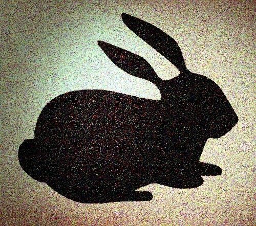 Bunny Rabbit Stencil Mylar Bunnies Rabbits Easter Stencils : Amazon.ca ...