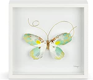 Amazon.com - DEMDACO Wall or Tabletop Shadow Box, Everyday Home Décor ...