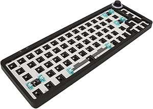 Amazon.com: DIY Modular Keyboard, Knob Control Customization 67 Keys ...