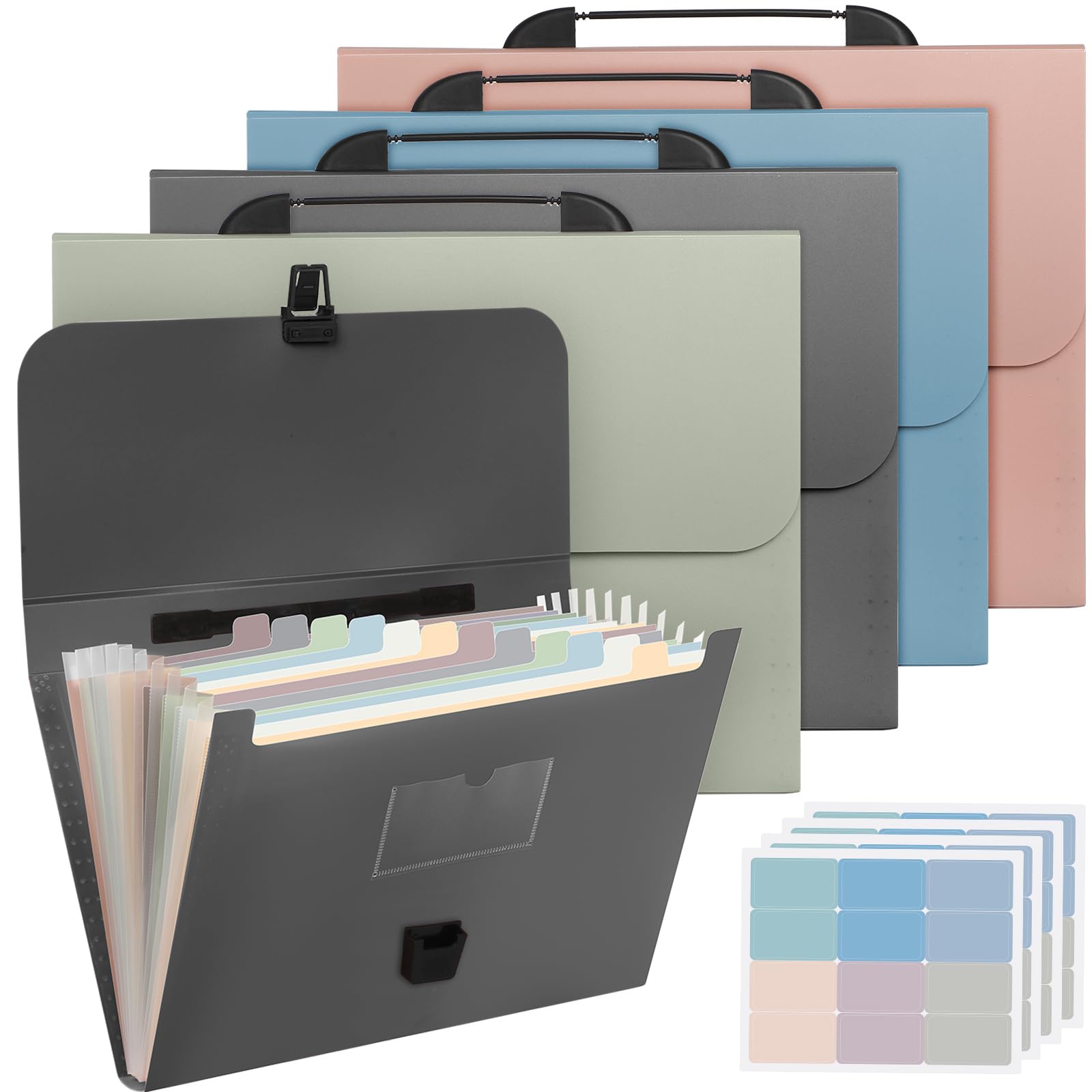 Amazon.com : Cholemy 4 Pcs 13 Pockets Expanding File Folder with Handle ...