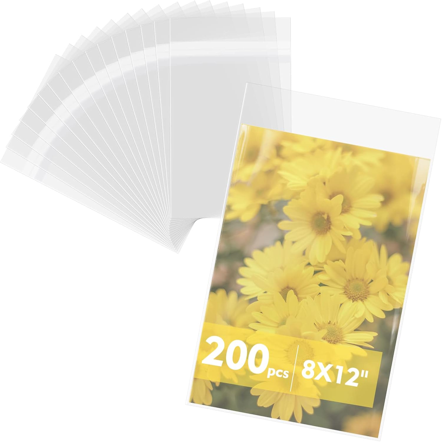 Amazon.com: Mat Board Center, 8x12 Inches 200 Pack Clear Sleeves ...