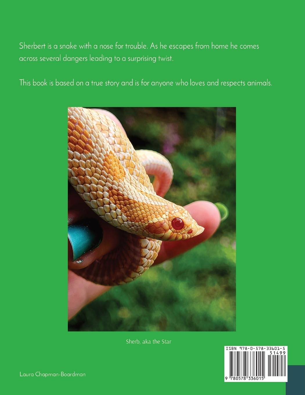 Slithered Away!: Sherbert's Big Adventure: Chapman-Boardman, Laura ...