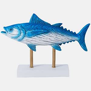 Amazon.com: CXYANG Tuna Fish Statues Sculptures Home Decor Coastal ...