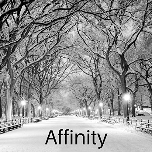Amazon.com: Affinity : By the Water: Digital Music