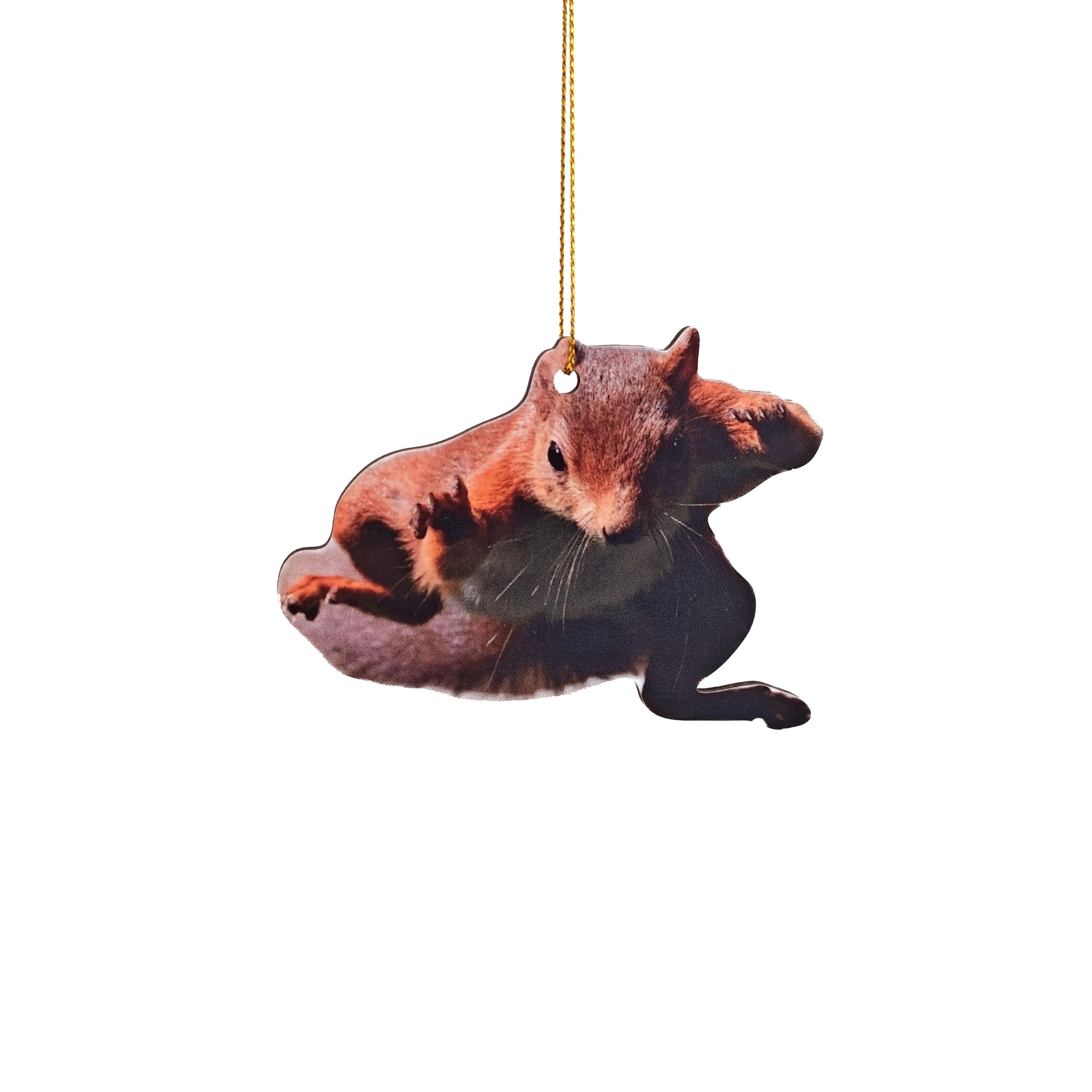 Amazon.com: Christmas Holiday Vacation Flying Squirrel Ornament - The ...