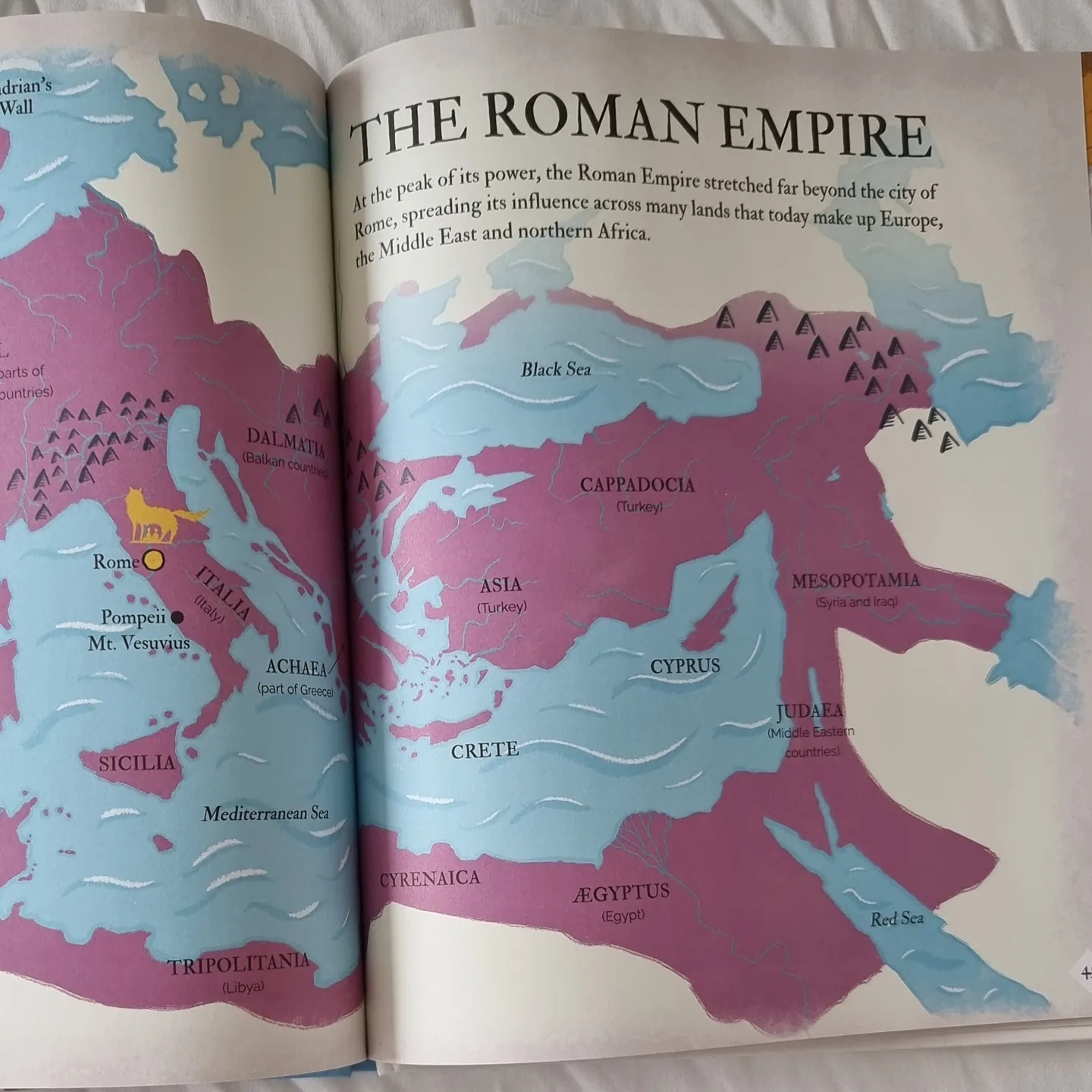 We Are the Romans: Meet the People Behind the History : Long, David ...