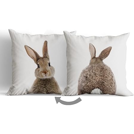 Amazon.com: Manual Woodworkers & Weavers Bunny Hop Hare Raising Rabbit ...