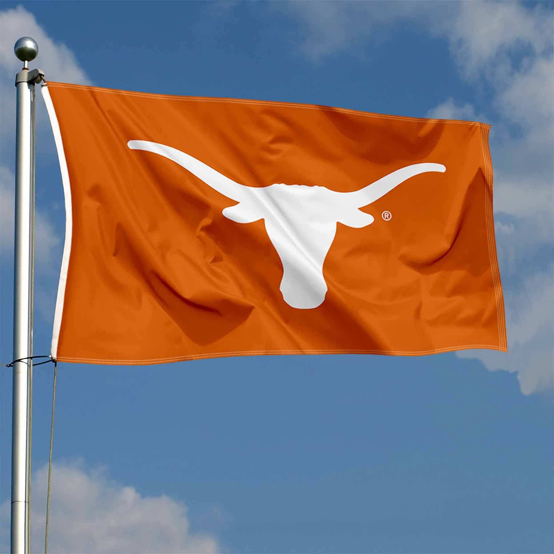 Banderín De La Universidad De Texas Dallas