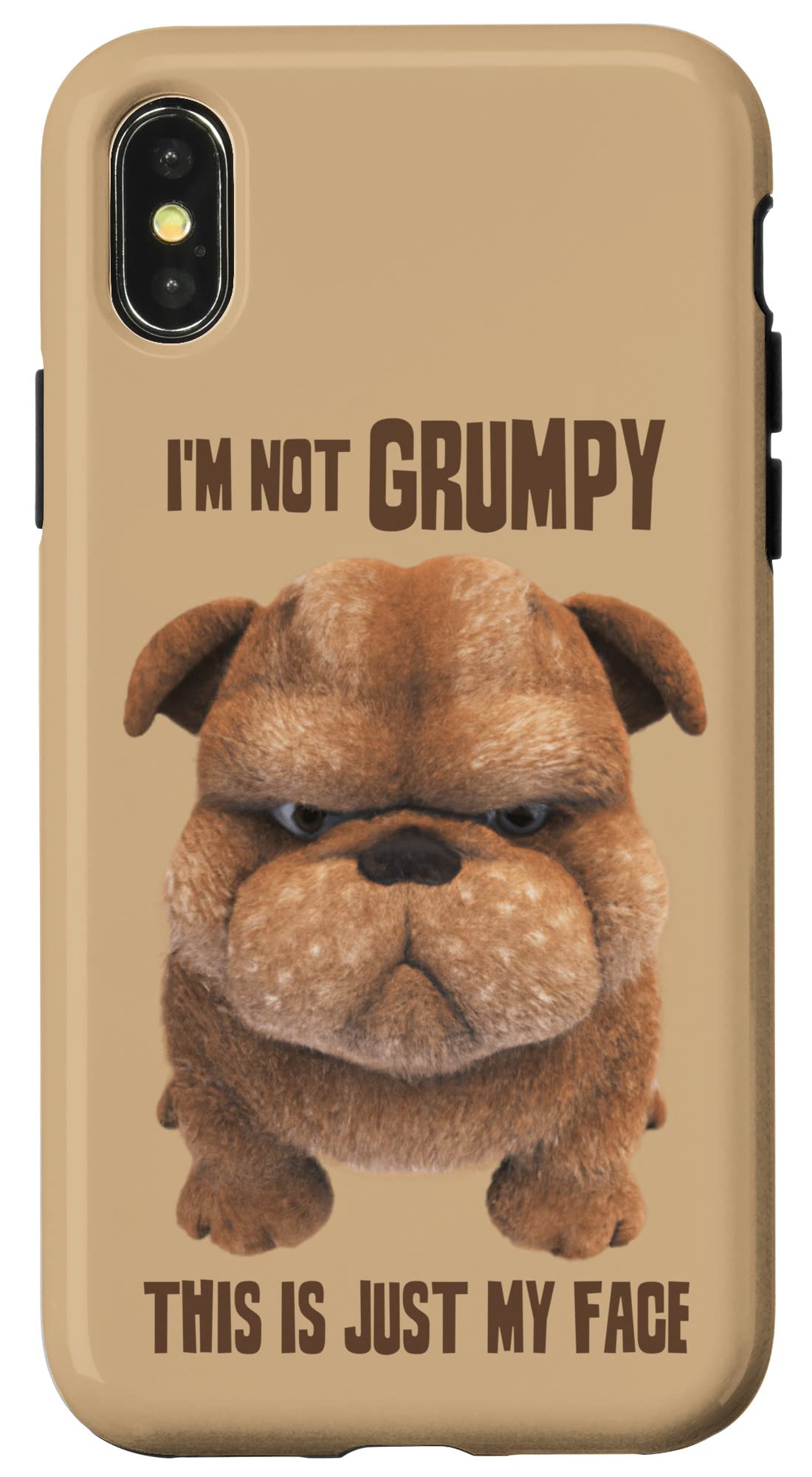 Grumpy Bulldog