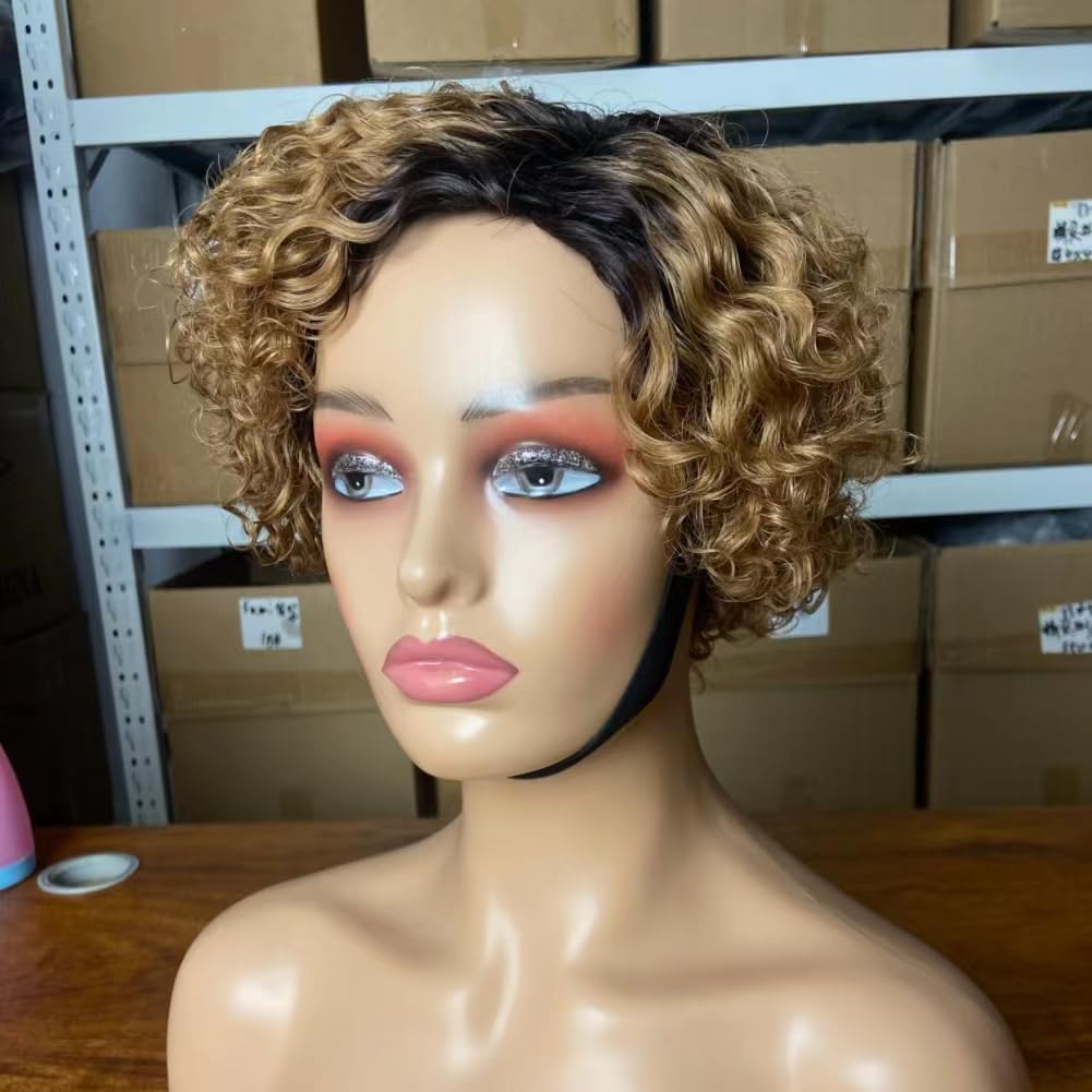 Amazon.com : Iianaebeh Short Curly Human Hair Wigs for Black Women ...